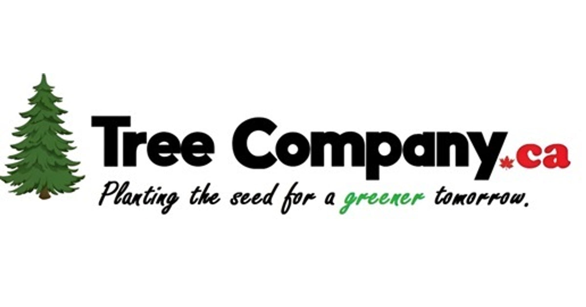 Tree Company