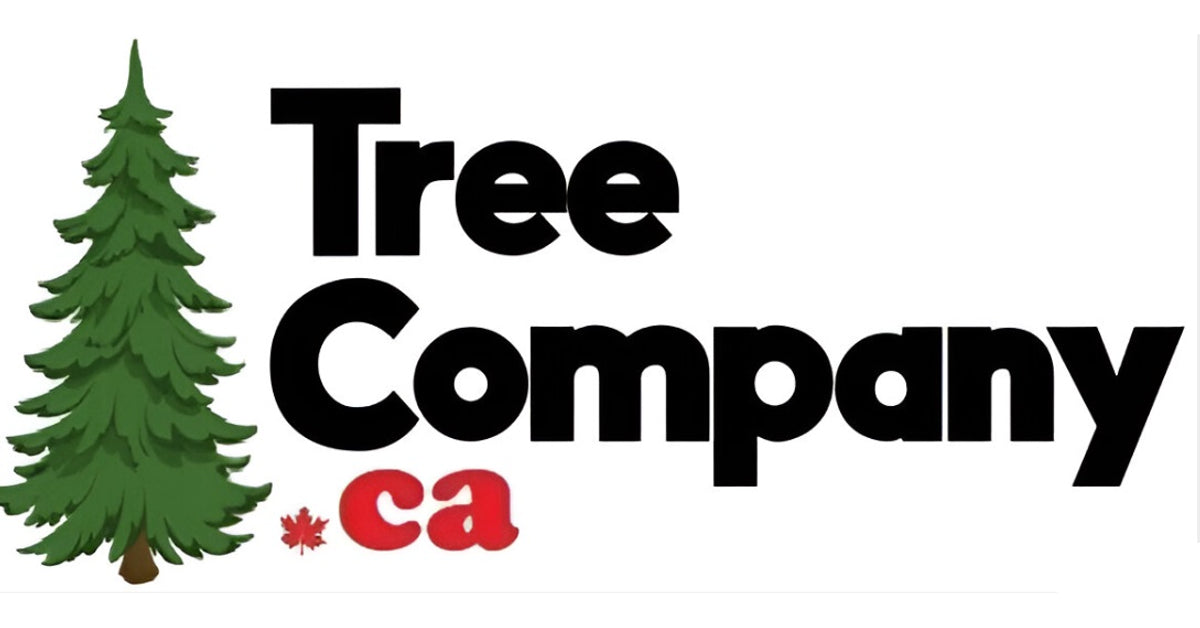 Tree Company – Potted Trees for Sale in Ontario